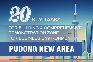 20 key tasks for building a comprehensive demonstration zone for ...