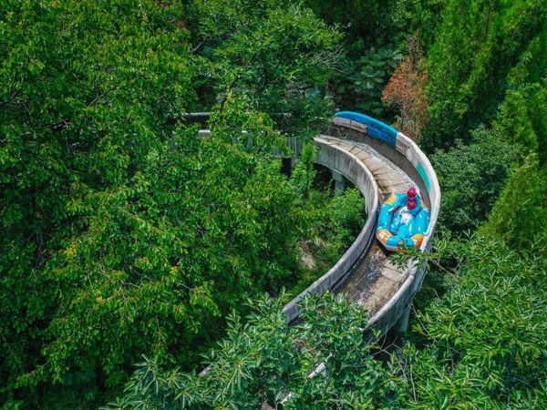 Discover Zibo's unique summer attractions | www.chinaservicesinfo.com